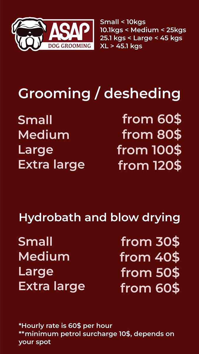 ASAP DOG GROOMING – Dog grooming Sunshine Coast