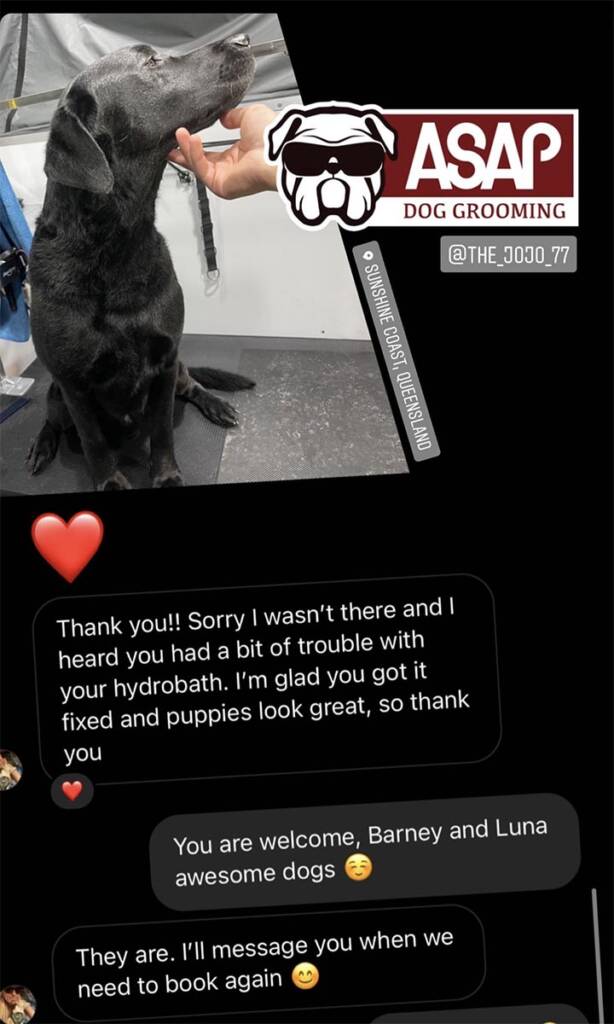 ASAP DOG GROOMING – Dog grooming Sunshine Coast