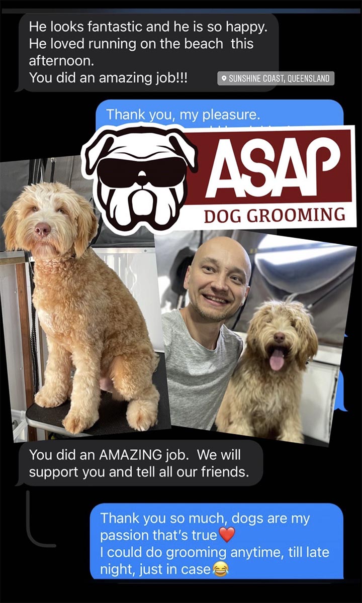 ASAP DOG GROOMING – Dog grooming Sunshine Coast