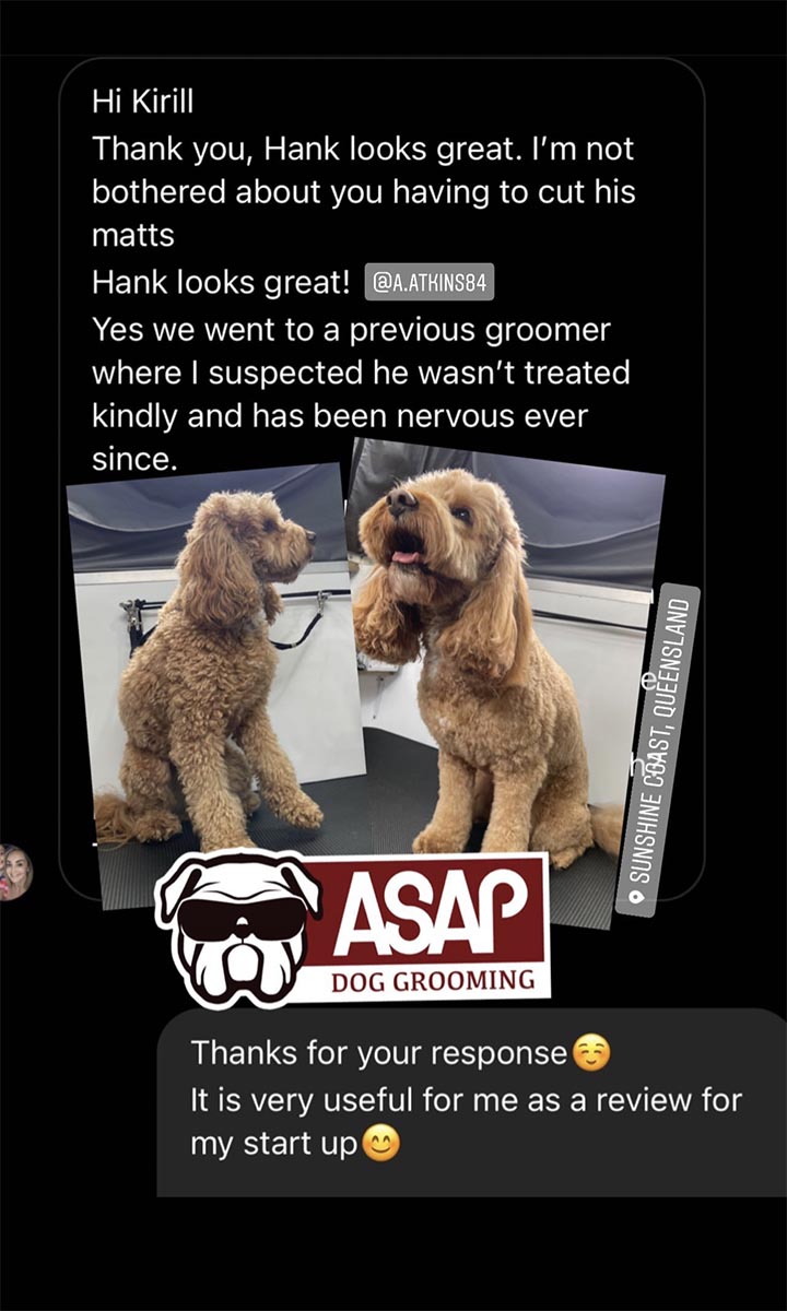 ASAP DOG GROOMING – Dog grooming Sunshine Coast