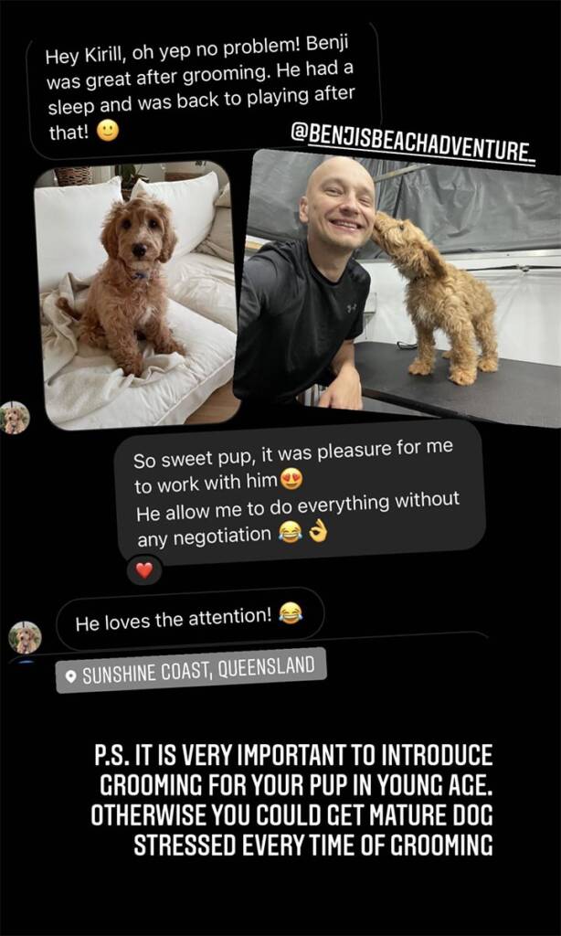 ASAP DOG GROOMING – Dog grooming Sunshine Coast