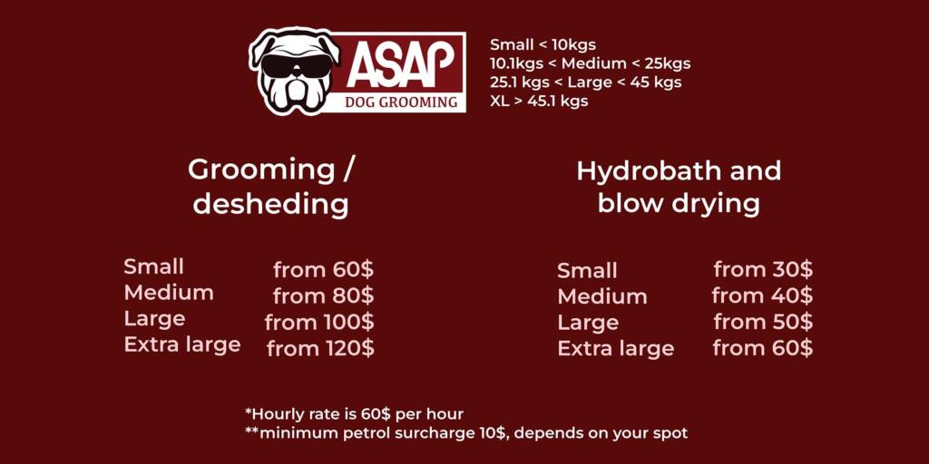 ASAP DOG GROOMING – Dog grooming Sunshine Coast